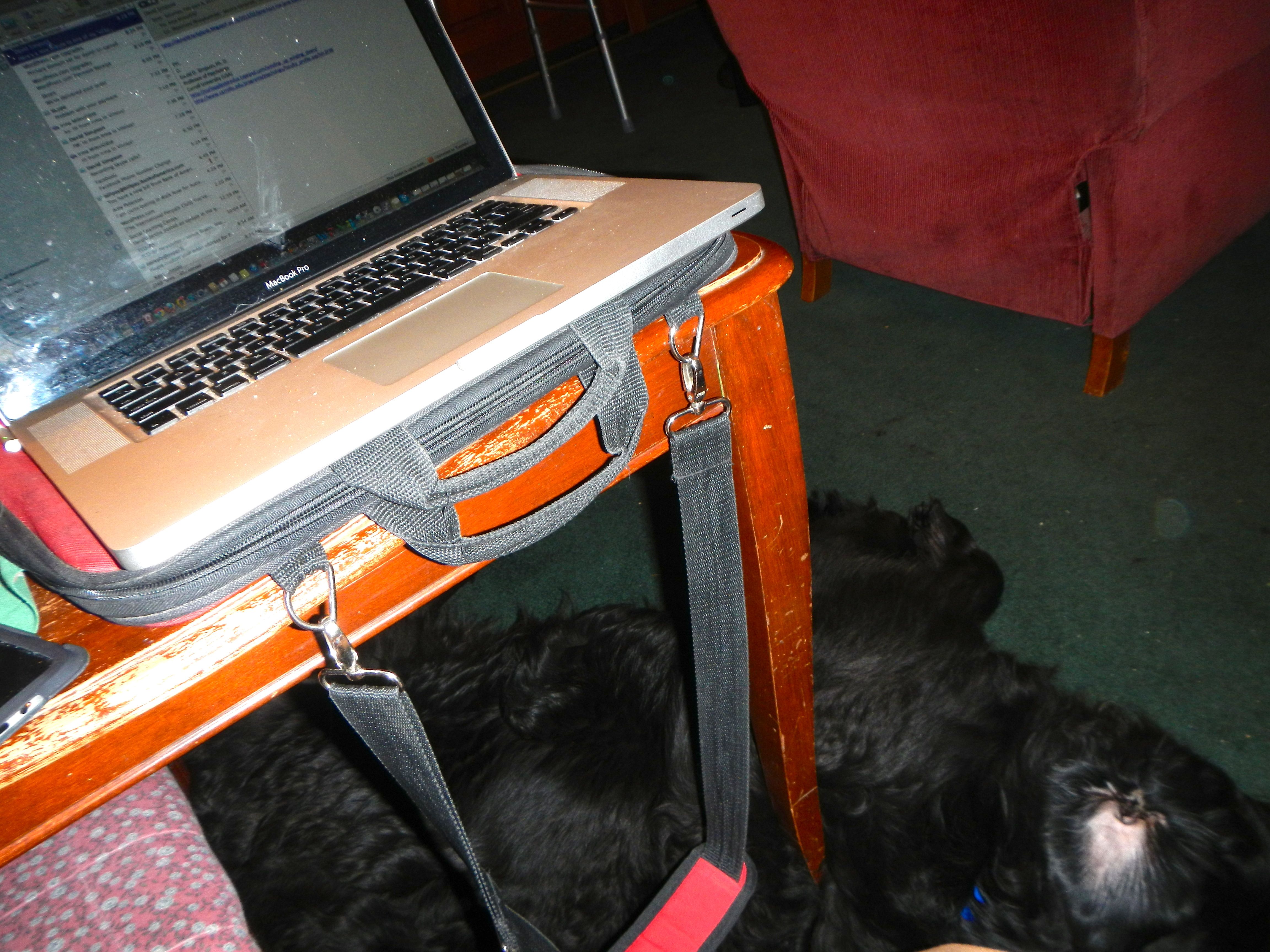 Dog assistant – David in Carroll Land: Winding Up, Winding Down